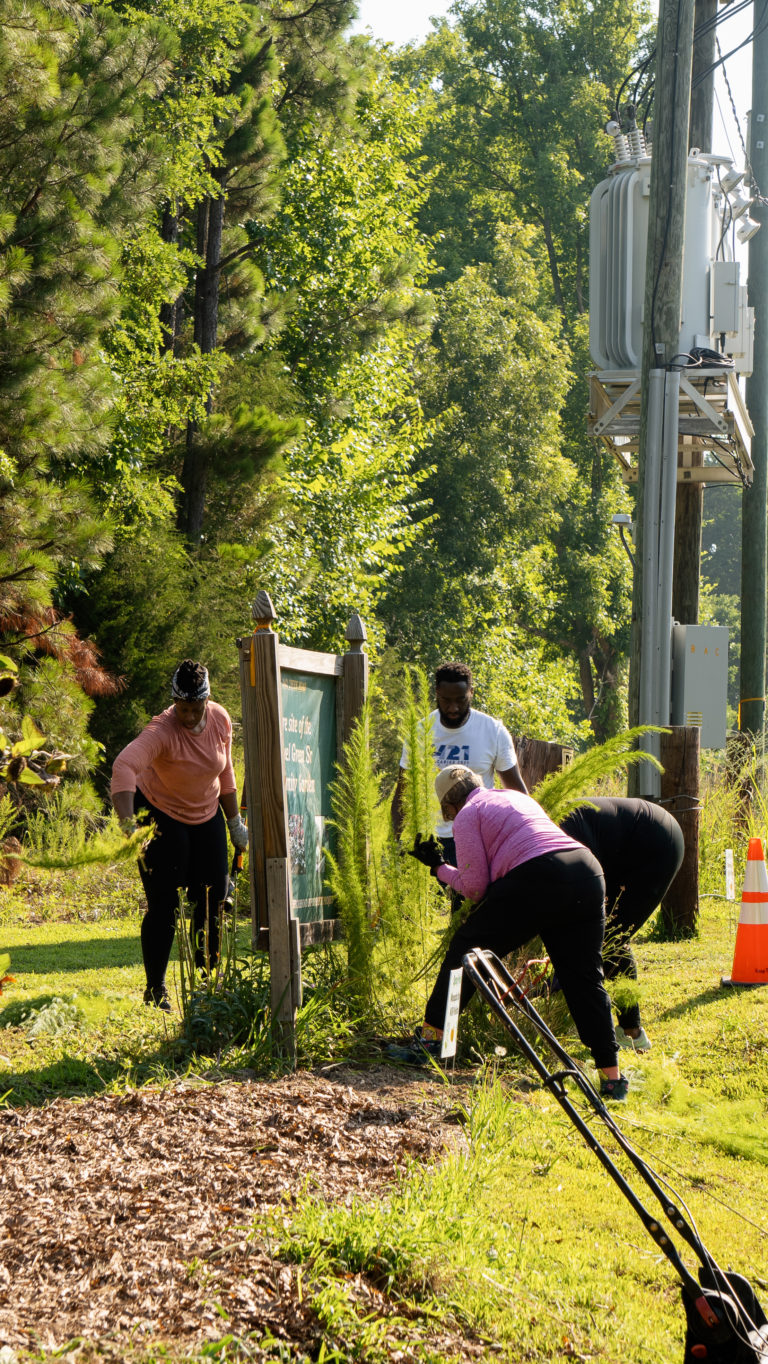 Samuel Green Sr. Community Garden - Merrick-Moore CDC
