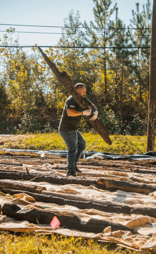 Samuel Green Sr. Community Garden - Merrick-Moore CDC